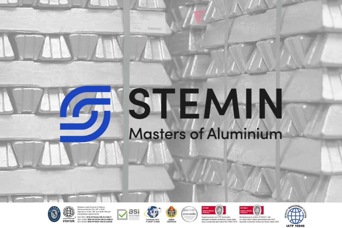 Stemin S.p.A | Company