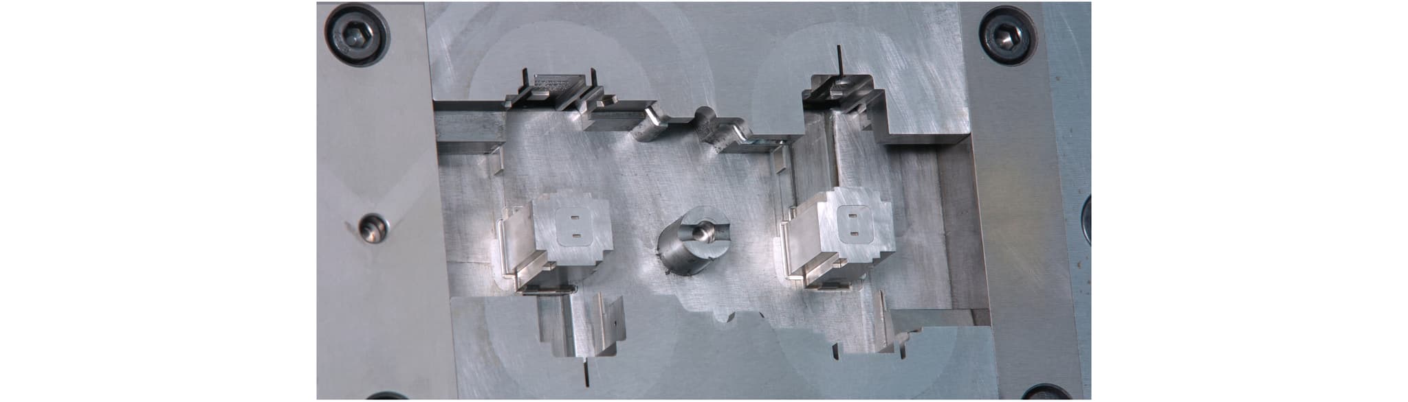 VIGNATI PIETRO E LUIGI SRL | Company
