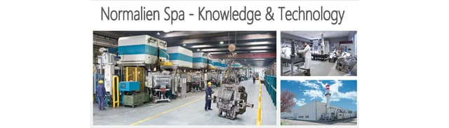 NORMALIEN S.p.A. | Company